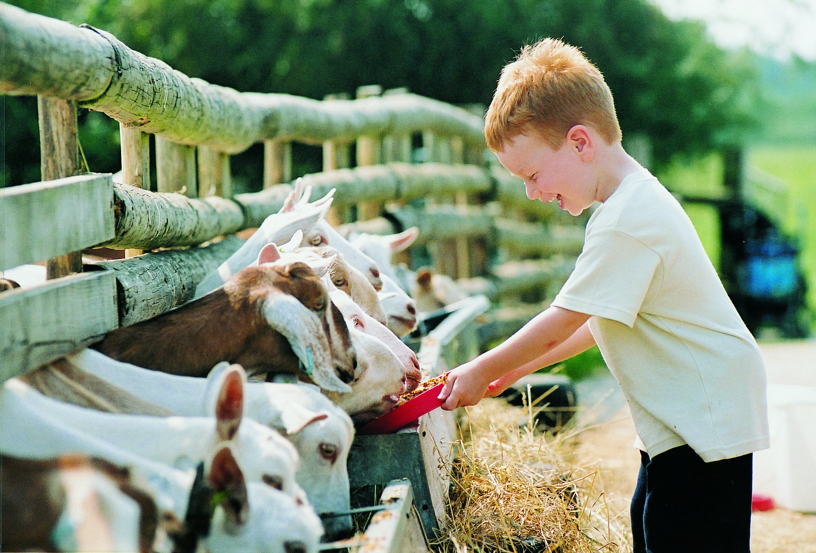 DAERA launches Rural Micro Capital Grant Scheme 2018 - Fermanagh ...