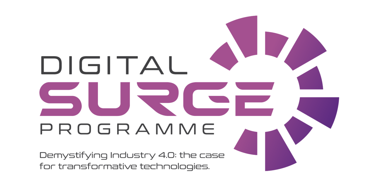 The Digital Surge Programme - Fermanagh Enterprise Limited The Digital Surge Programme - Fermanagh Enterprise Limited