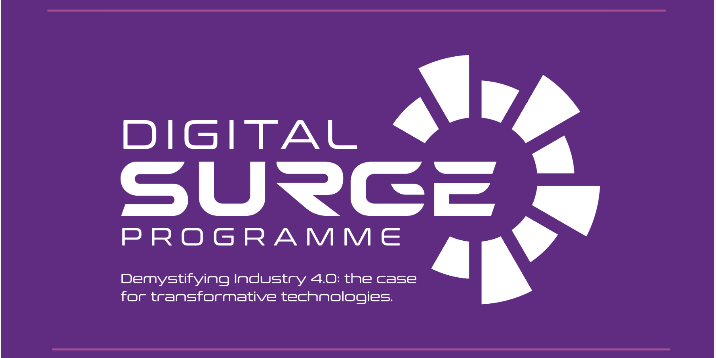Digital Surge Programme - Fermanagh Enterprise Limited Digital Surge Programme - Fermanagh Enterprise Limited